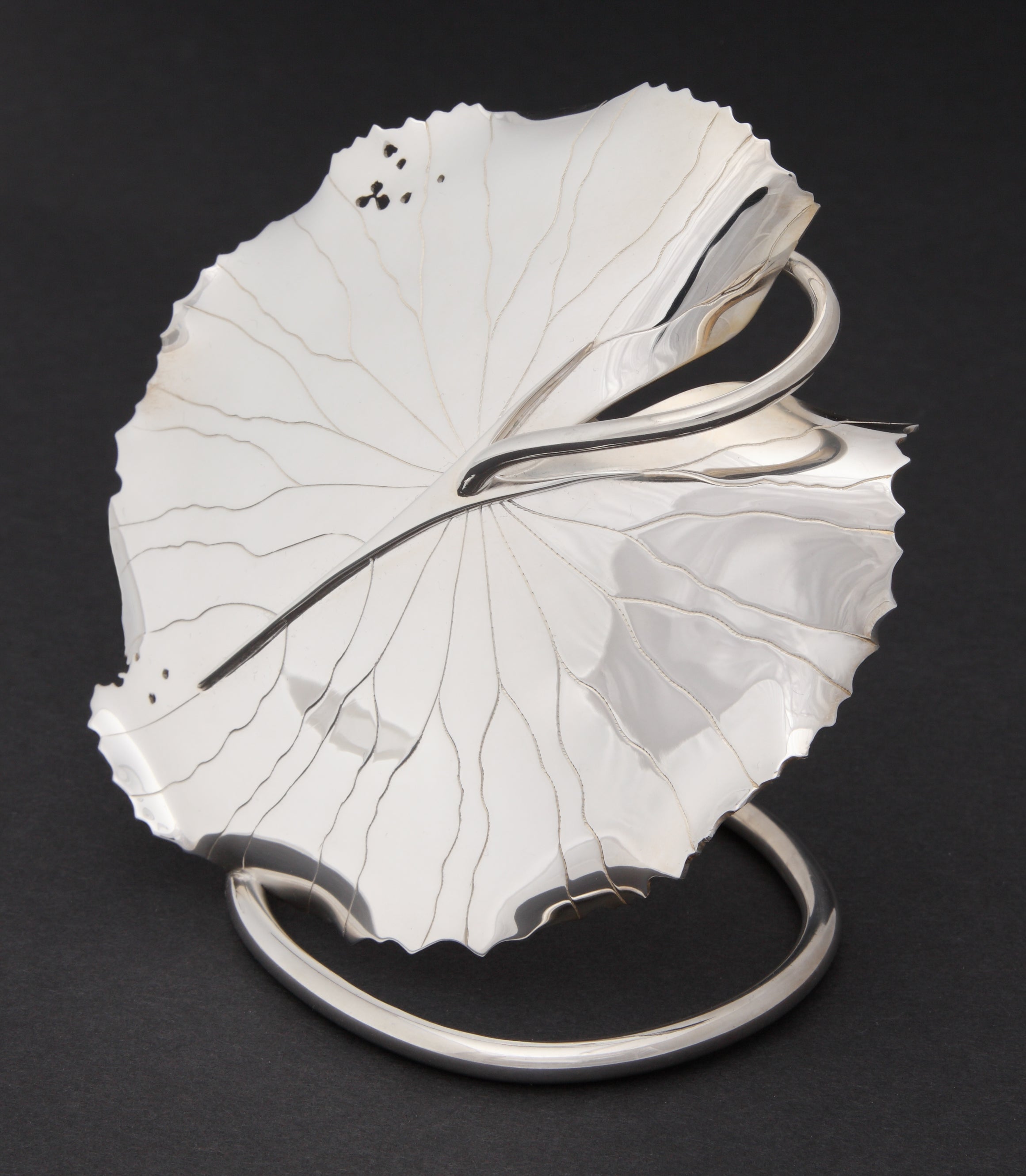 WATER LILIES – Robyn Nichols