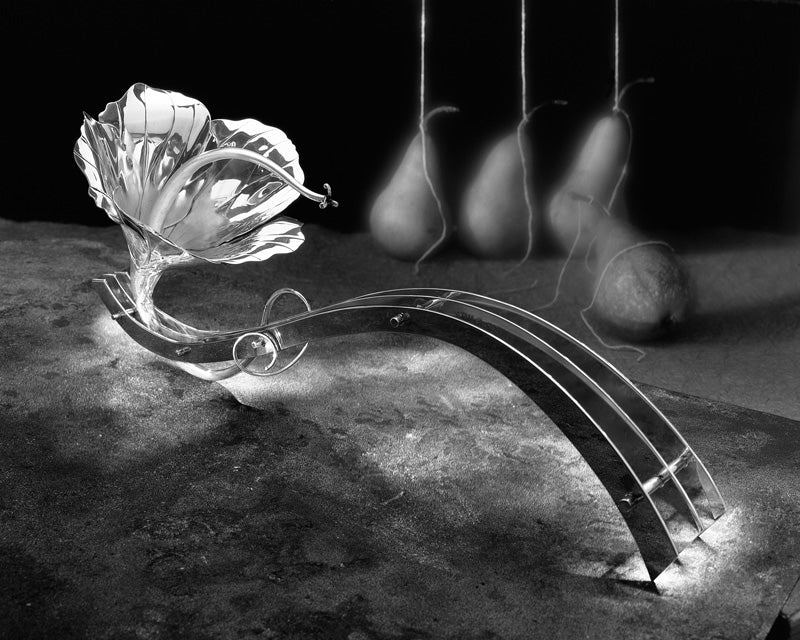 Gold-and-silversmith artist specializing in botanical jewelry and art ...